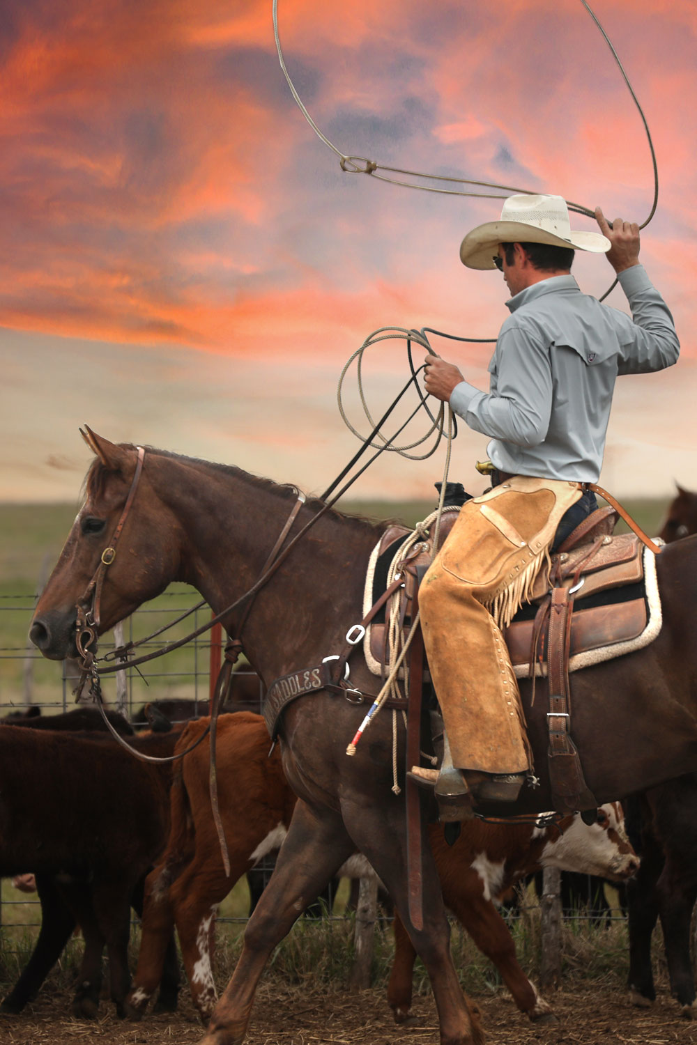 Stuart Ranch - Jordan Advertising